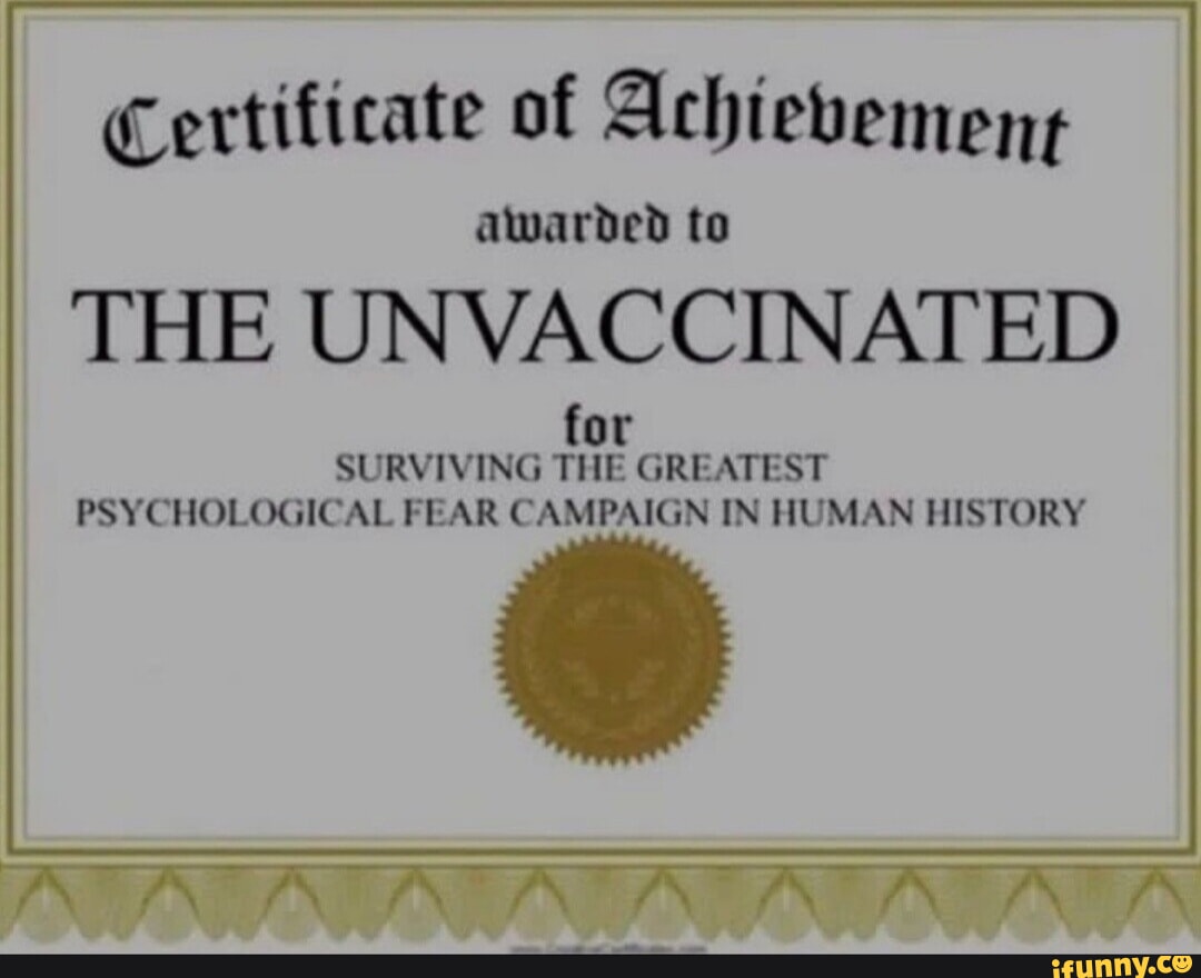 Certificate memes. Best Collection of funny Certificate pictures on iFunny