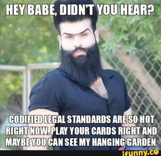 Volp memes. Best Collection of funny Volp pictures on iFunny