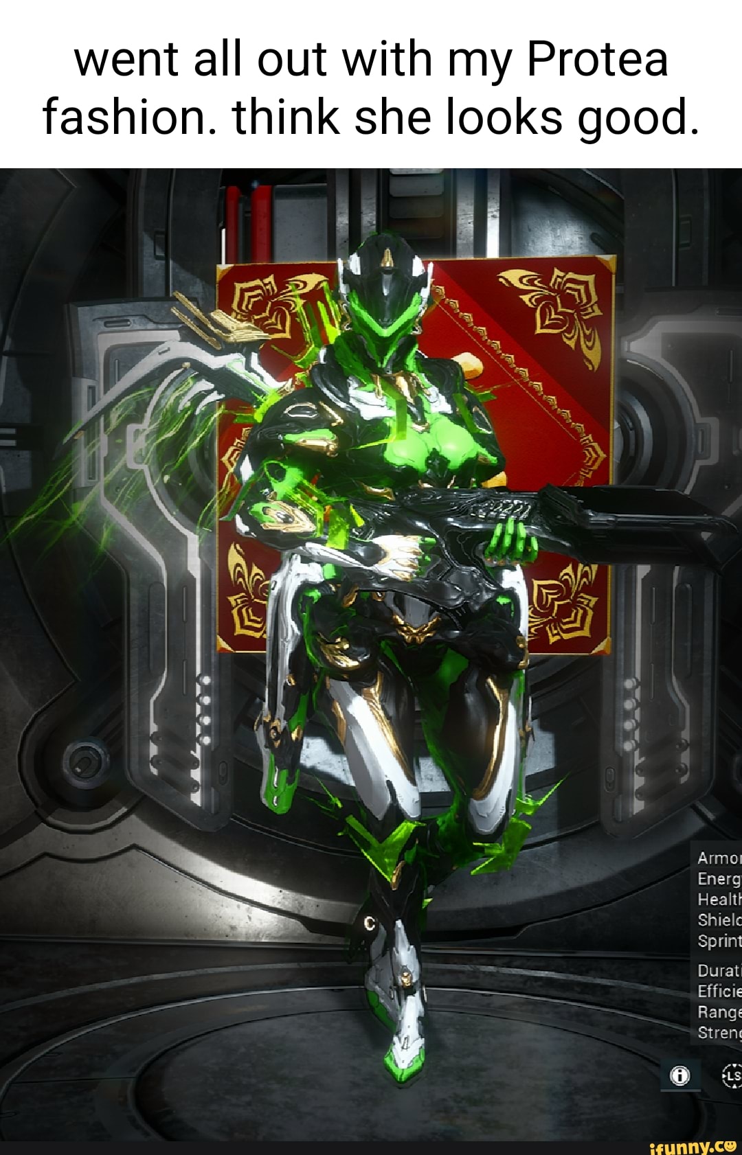 Protea memes. Best Collection of funny Protea pictures on iFunny