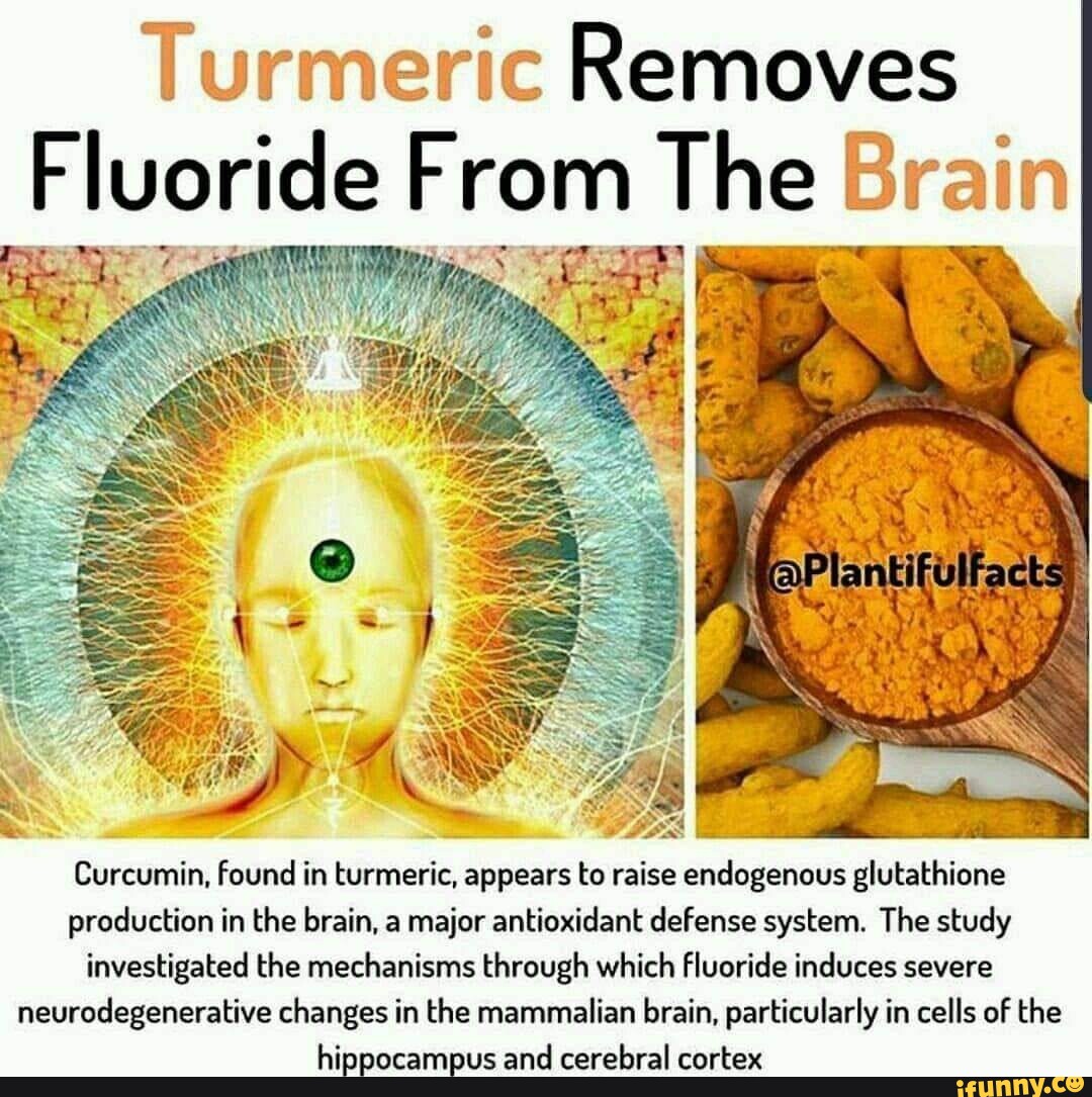 Glutathione memes. Best Collection of funny Glutathione pictures on iFunny