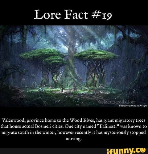 Valenwood, province home to the Wood Elves, has giant migratory trees ...