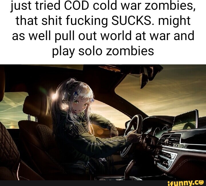 Just tried COD cold war zombies, that shit fucking SUCKS. might as well pull out world at war ...