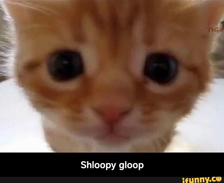 Shloopy memes. Best Collection of funny Shloopy pictures on iFunny