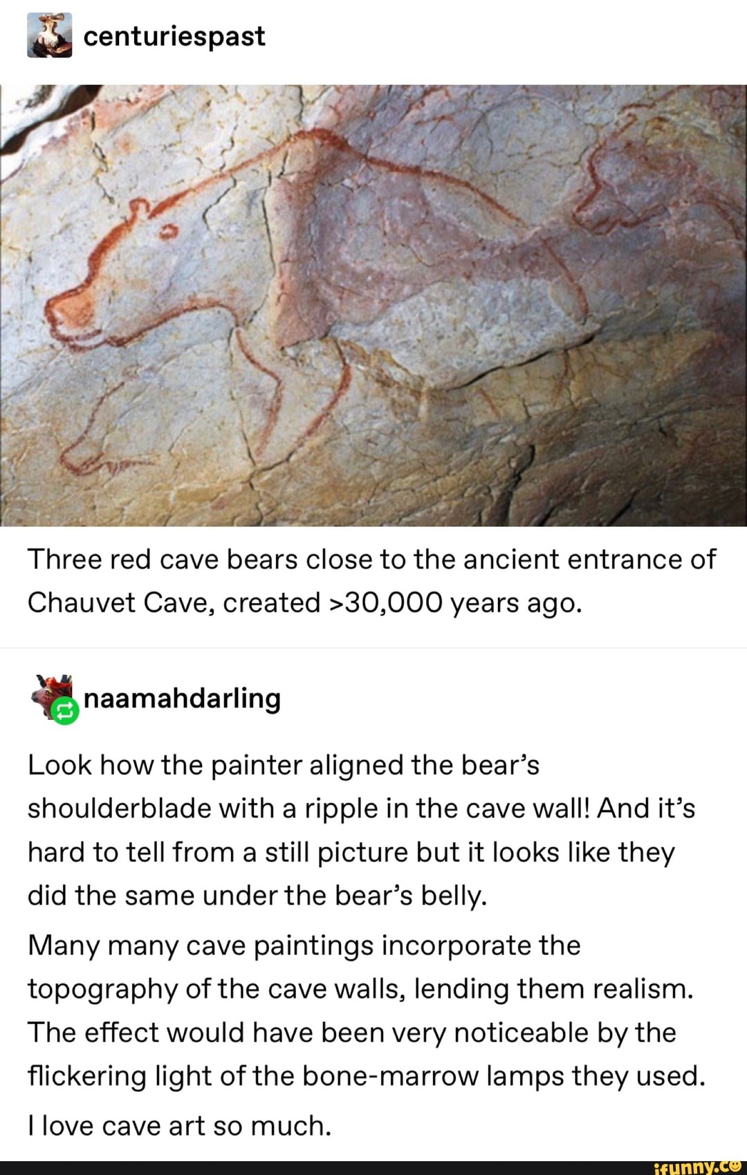Cave Paintings Of Bears