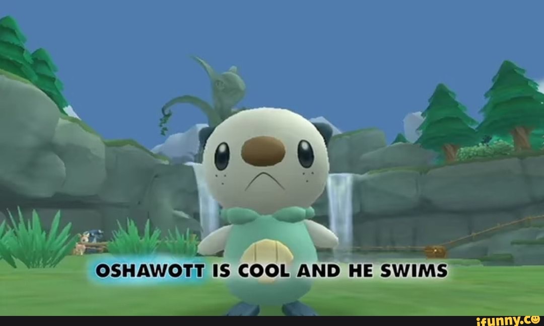 OSHAWOTT IS COOL AND HE SWIMS - iFunny