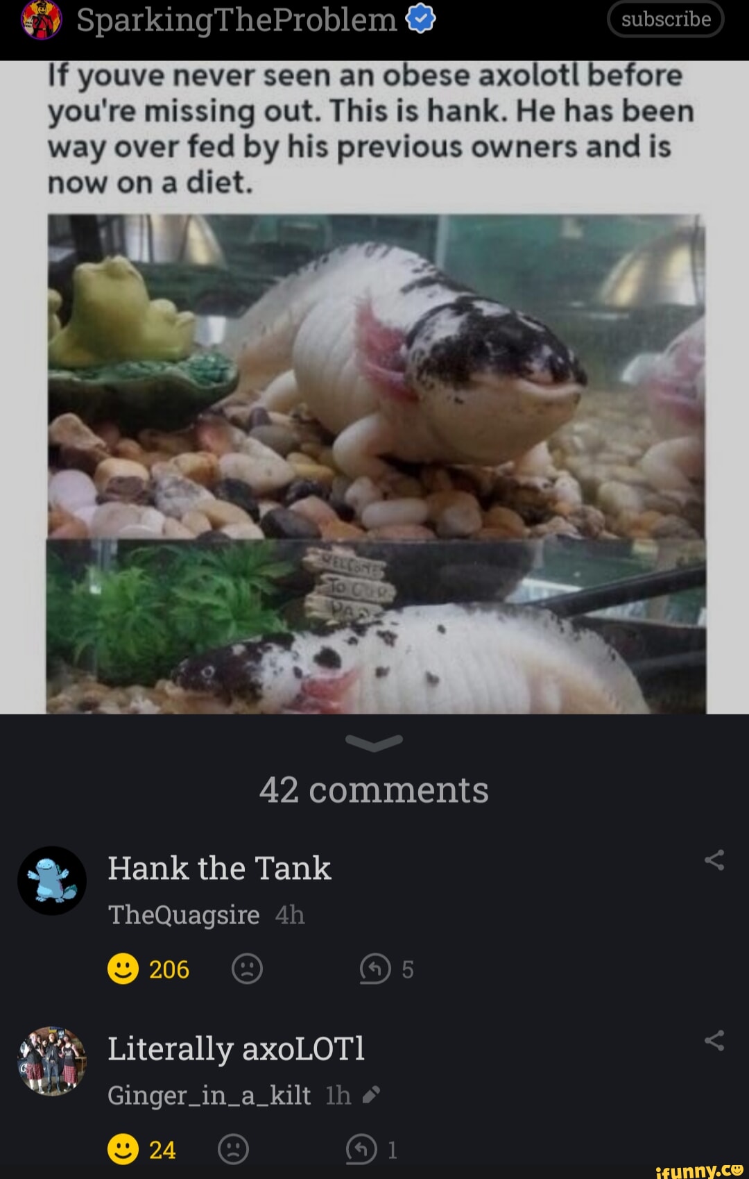 Axolotl memes. Best Collection of funny Axolotl pictures on iFunny