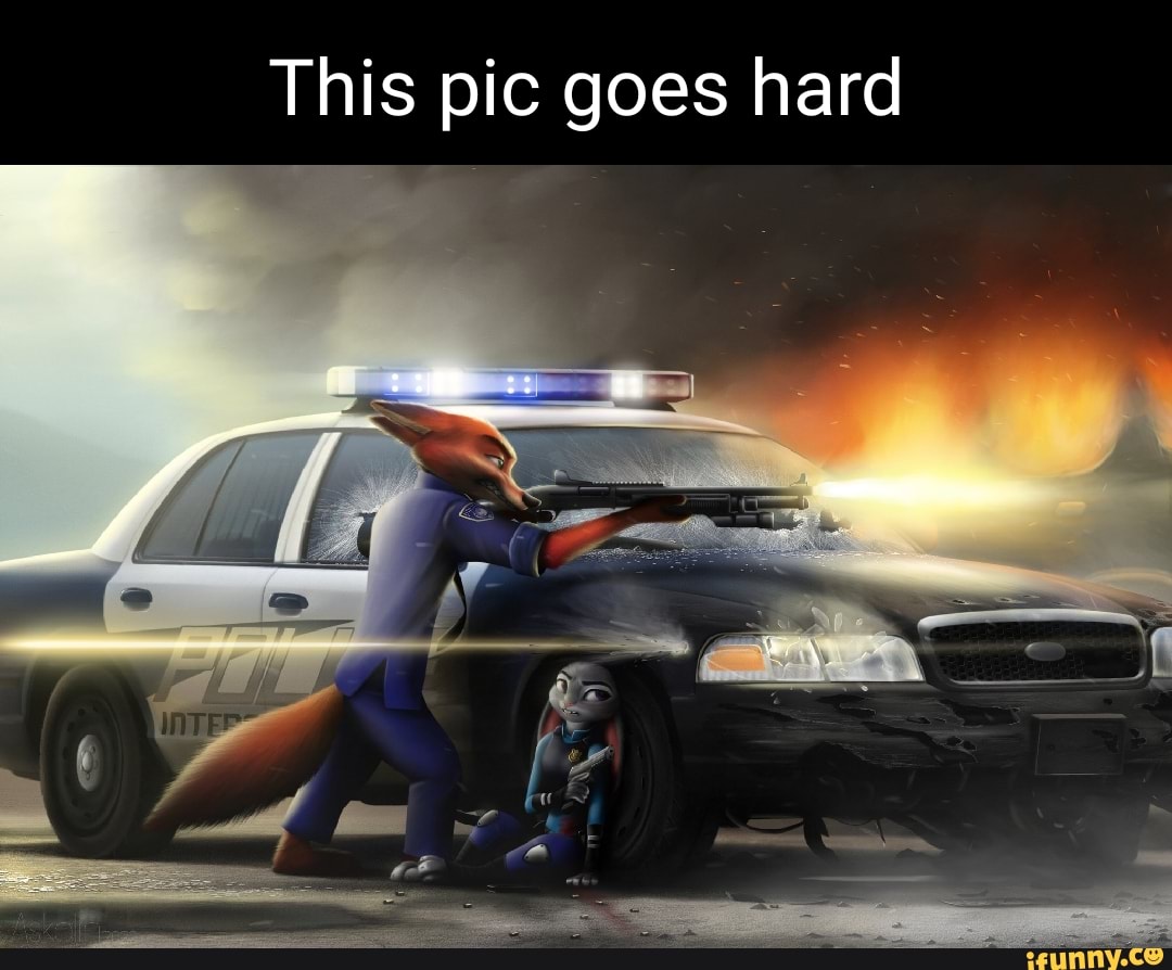 This pic goes hard - )