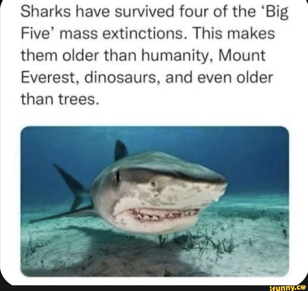 Extinctions memes. Best Collection of funny Extinctions pictures on iFunny