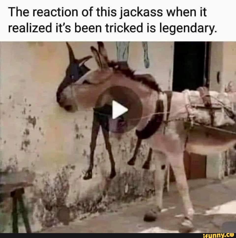 Jackass memes memes. The best memes on iFunny