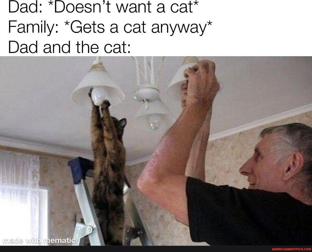 Dac: "Doesn't want a cat" Family: "Gets a cat anyway* Dad and the cat: mads with ematic A ...