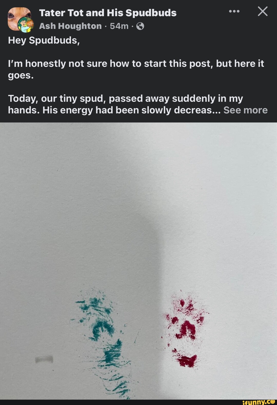 Tater Tot and His Spudbuds Ash Houghton Hey Spudbuds, I'm honestly not ...