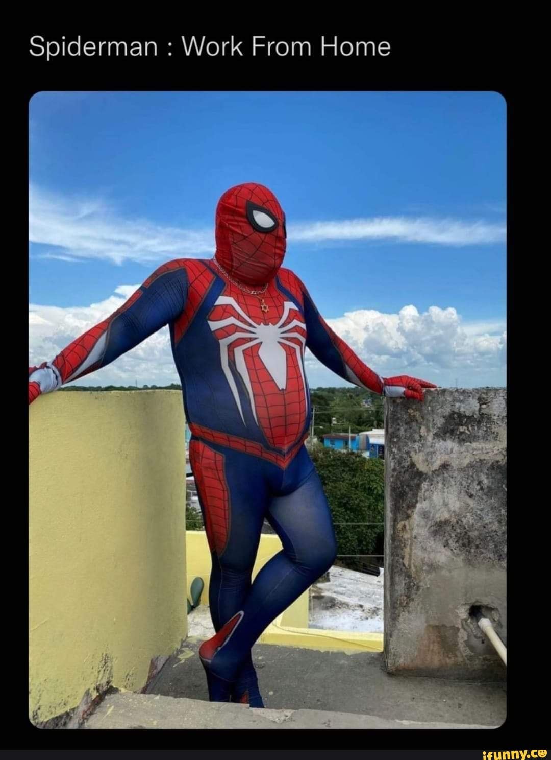Spiderman : Work From Home - iFunny