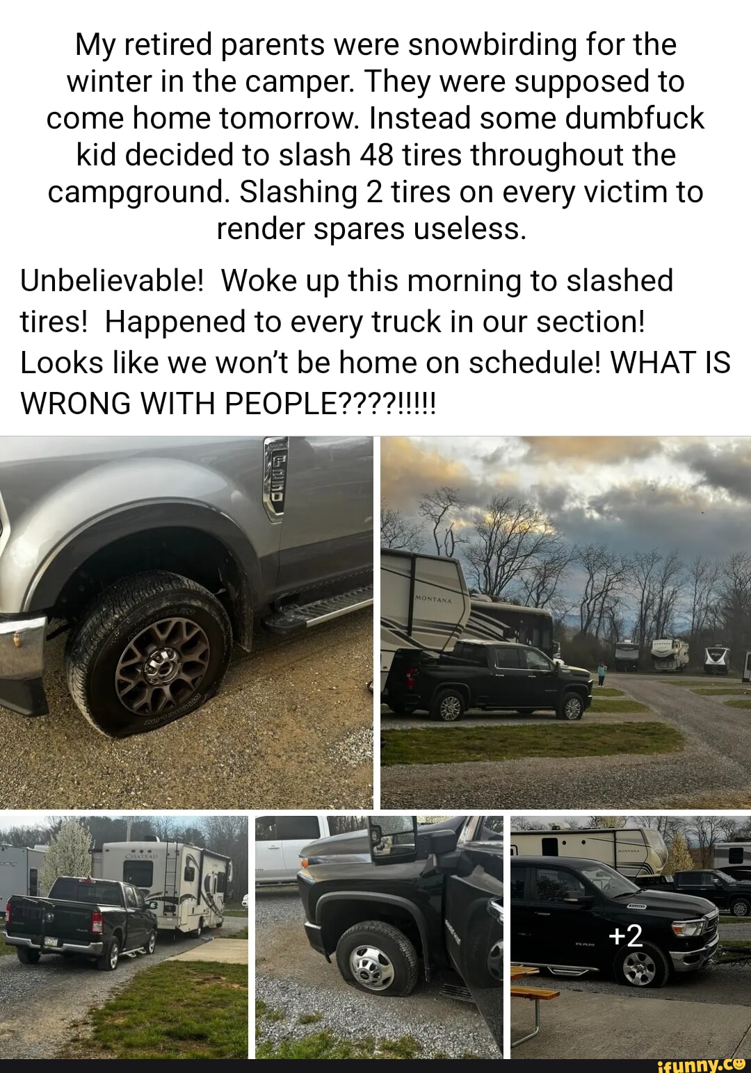 Snowbirding memes. Best Collection of funny Snowbirding pictures on iFunny