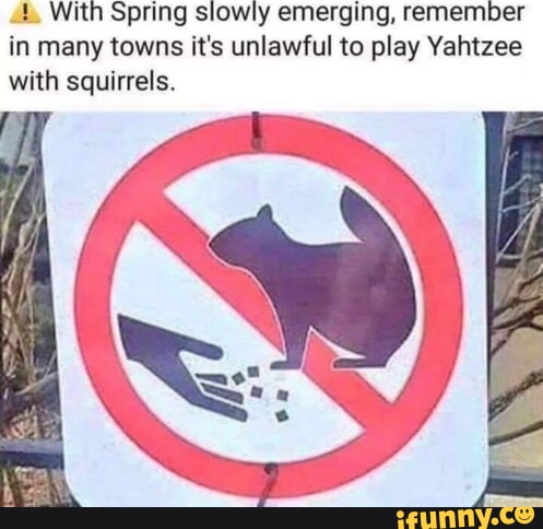 Spring memes. Best Collection of funny Spring pictures on iFunny