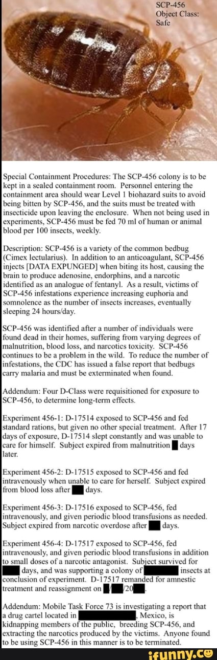 Picture memes eSbUPNKQ8 by SCP_Foundation_2021: 1 comment - )