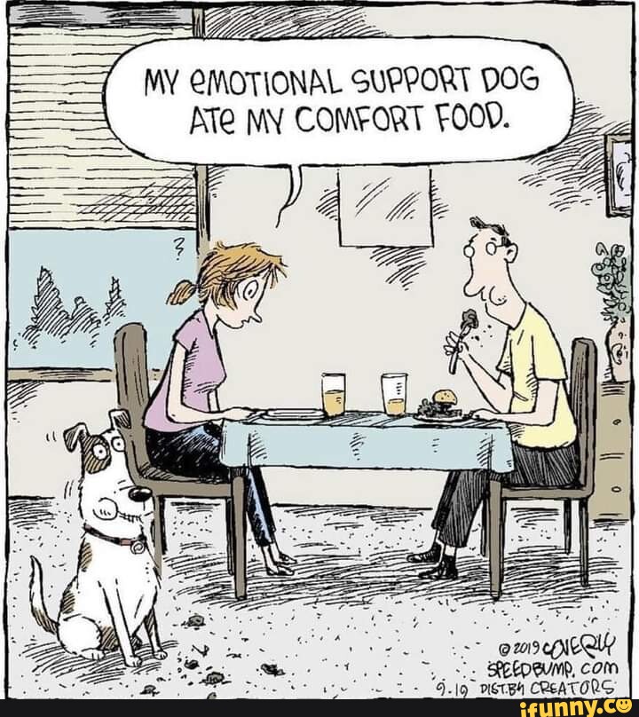 MY EMOTIONAL SUPPORT DOG ATe MY COMFORT FOOD. BUMP, COM CREATORS - iFunny