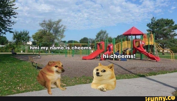 Hmi my name is cheems hi cheems! - iFunny