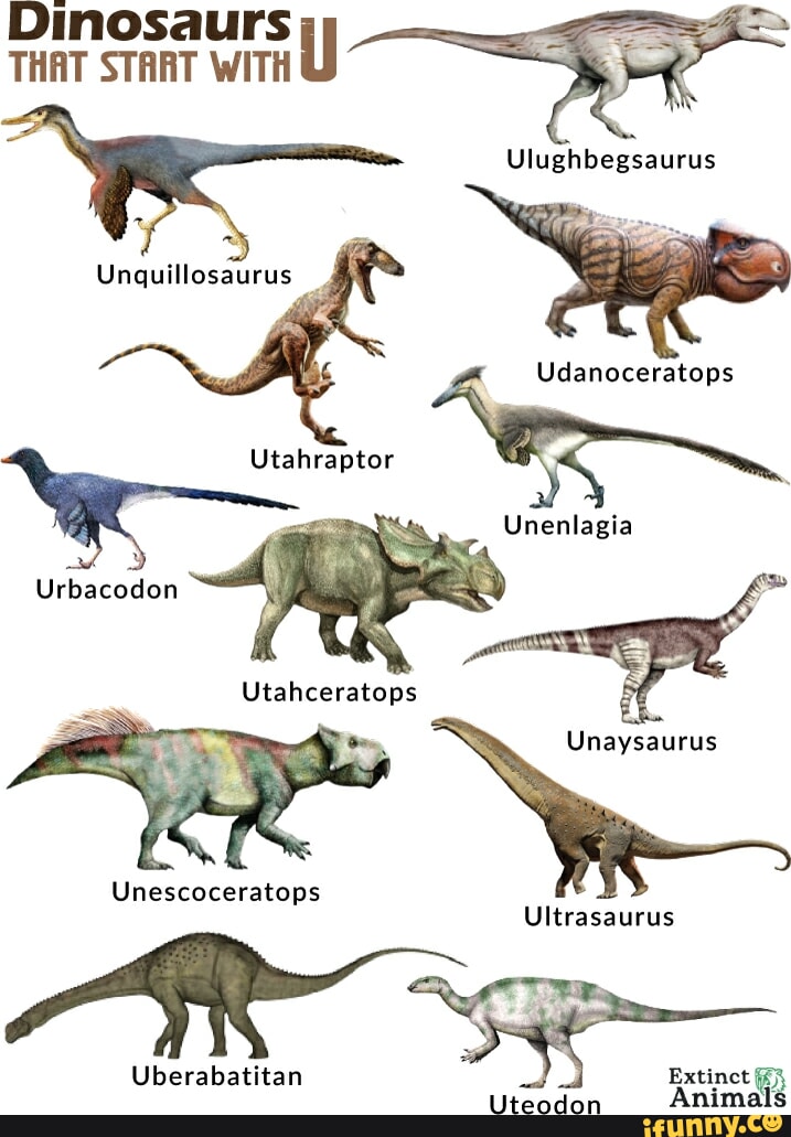 Dinosaurs THAT START WITH Unquillosaurus Ulughbegsaurus Udanoceratops ...