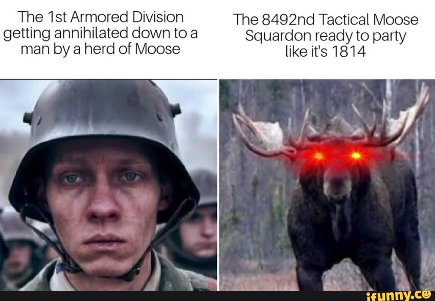 Moose memes. Best Collection of funny Moose pictures on iFunny