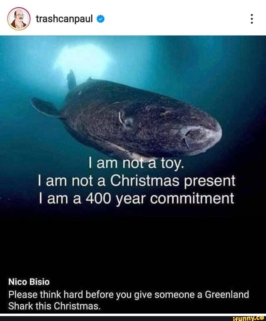 Bisio memes. Best Collection of funny Bisio pictures on iFunny