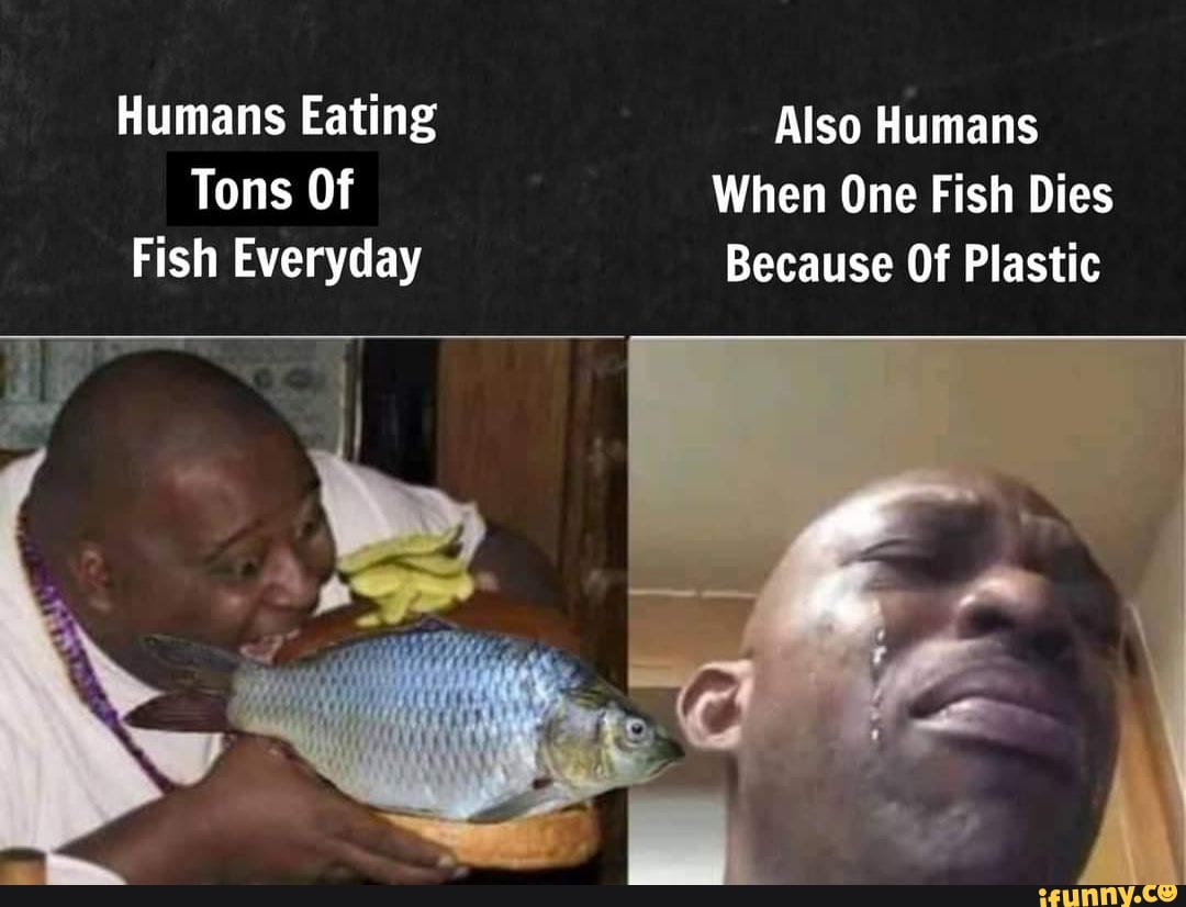 Humans Eating Tons Of Fish Everyday Also Humans When One Fish Dies ...