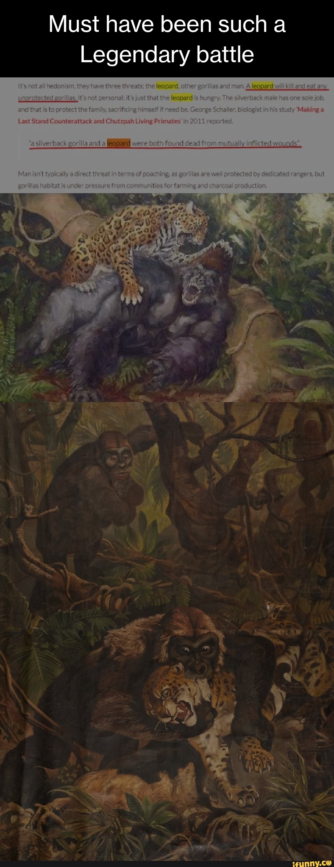 Primates memes. Best Collection of funny Primates pictures on iFunny