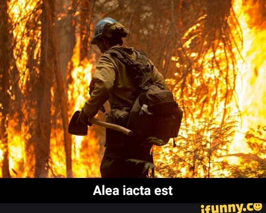 Lacta memes. Best Collection of funny Lacta pictures on iFunny