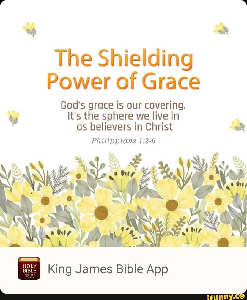 Shielding memes. Best Collection of funny Shielding pictures on iFunny