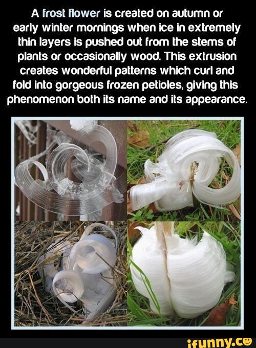 Extrusion memes. Best Collection of funny Extrusion pictures on iFunny