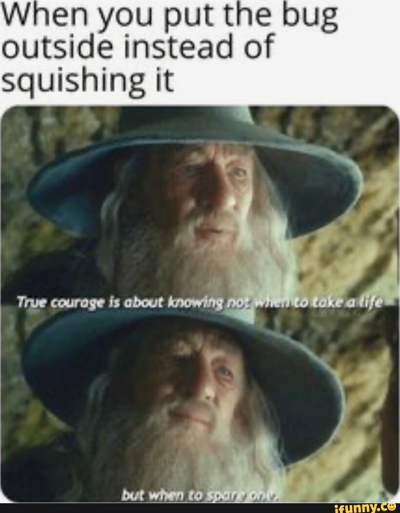 Squishing memes. Best Collection of funny Squishing pictures on iFunny