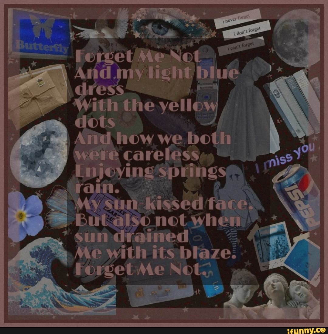 Forgetmenotaesthetic memes. Best Collection of funny ...