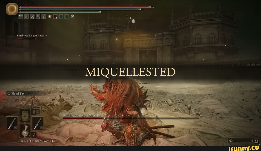 Miquellested memes. Best Collection of funny Miquellested pictures on ...