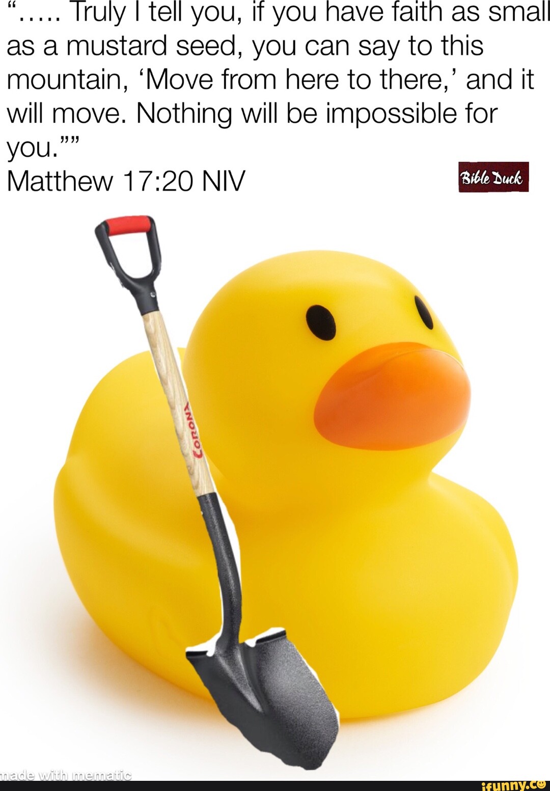 Truly I tell you, If you Nave faith as small as a mustard seed, you can ...