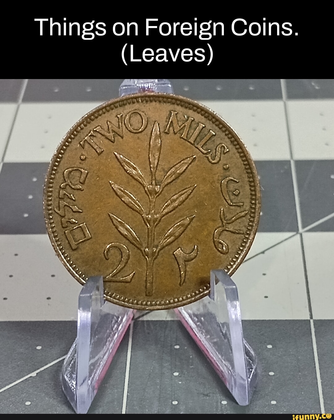 Wheat memes. Best Collection of funny Wheat pictures on iFunny