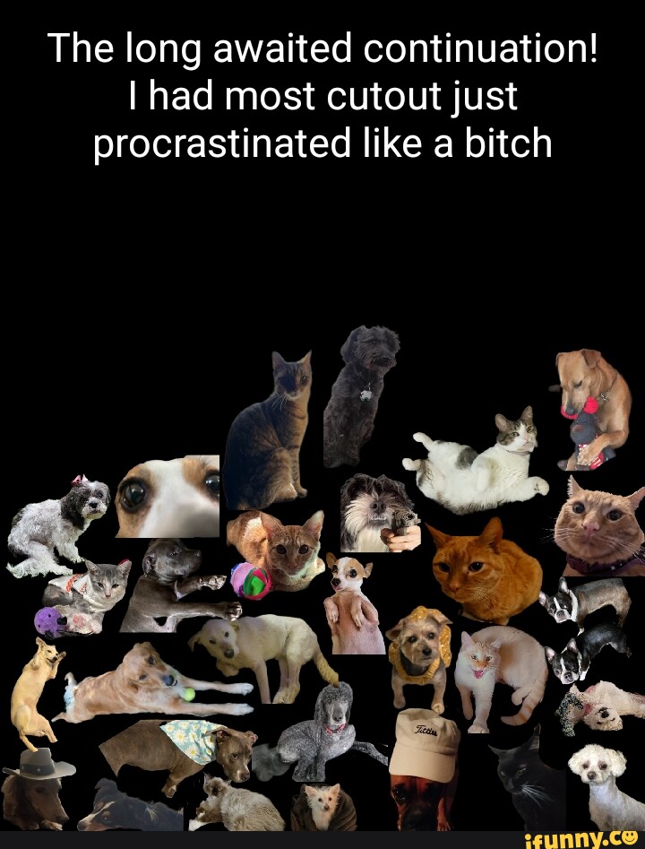 Cutout memes. Best Collection of funny Cutout pictures on iFunny