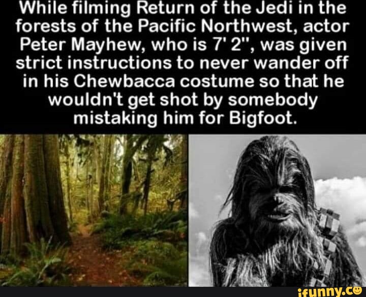 Return memes. Best Collection of funny Return pictures on iFunny