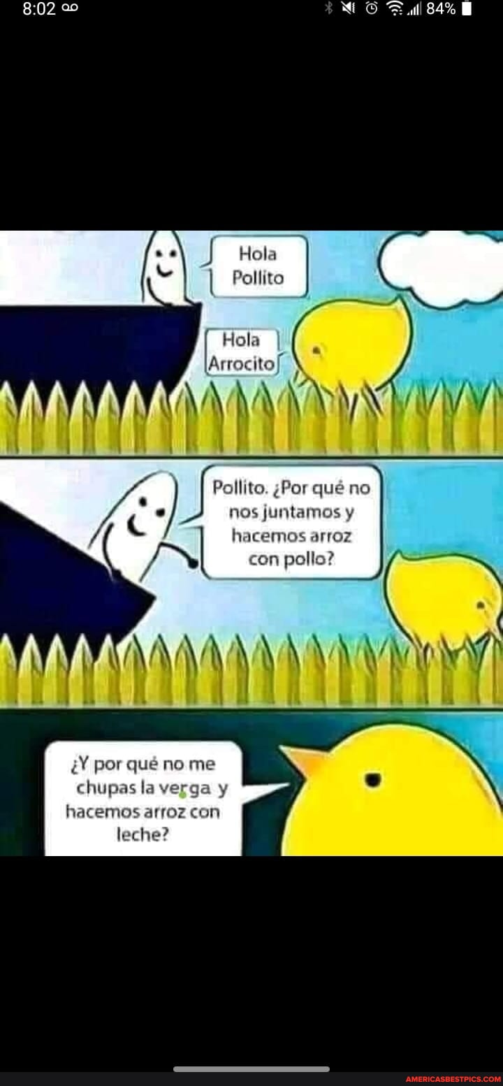 Hola Pollito Hola Arrocito/. Pollito. ;Por quê no nos juntamos y ...