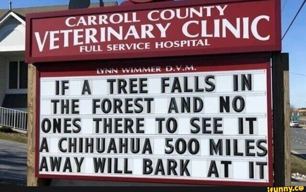 CARROLL FULL SERVICE HOSPITAL UNTY I IF A TREE FALLS IN THE FOREST AND ...