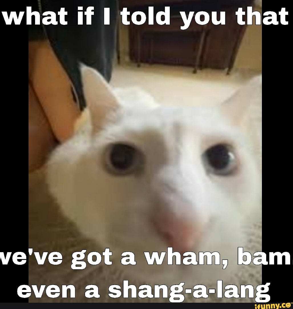 What if I told you that ve've got a wham, bam even a - iFunny