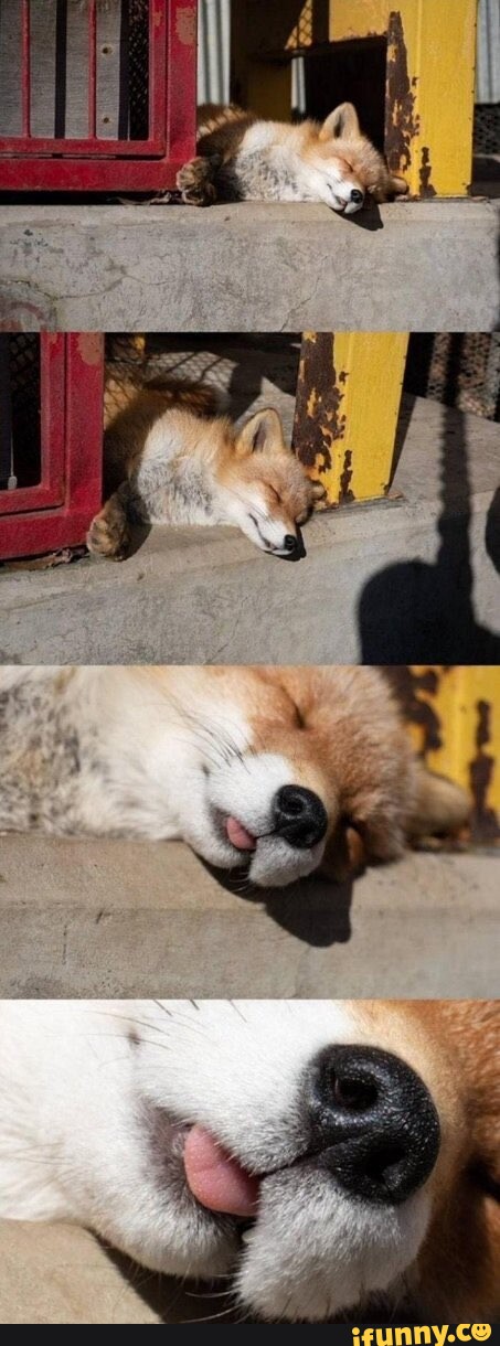 Picture memes Zj15FGPMA by fpkd6rv7cj4286: 66 comments - iFunny