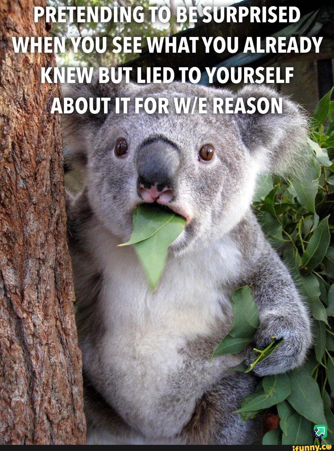 #Truth #upset #dumb - PRETENDING TO BE SURPRISED WHEN YOu SEE WHAT YOU ...