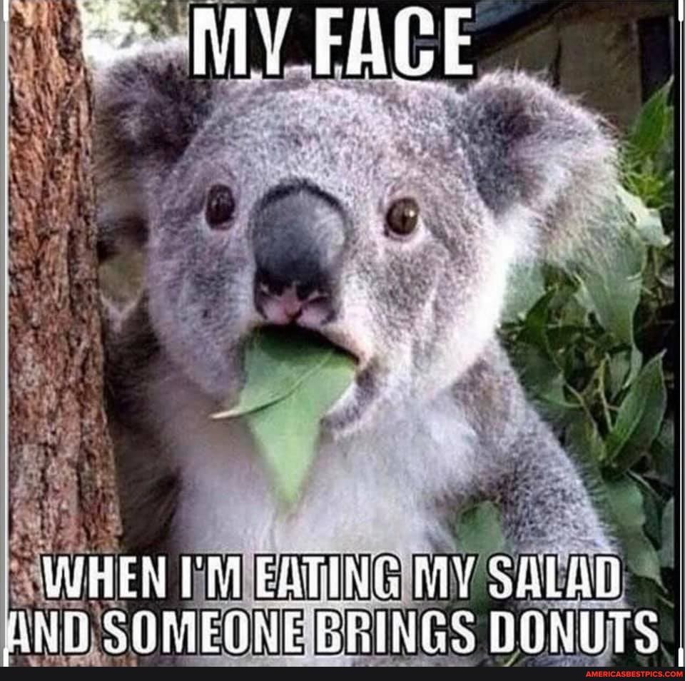 MY Li % / ENG SOMEANE BEINGS DONUTS - America’s best pics and videos