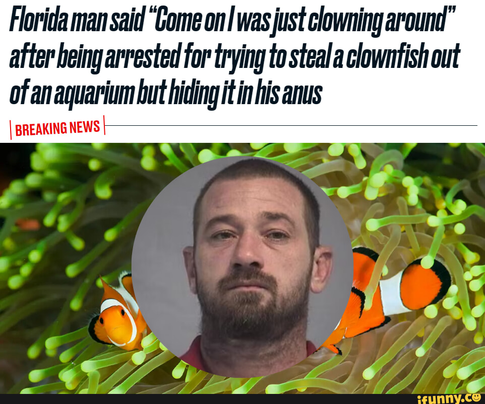 Clownfish memes. Best Collection of funny Clownfish pictures on iFunny