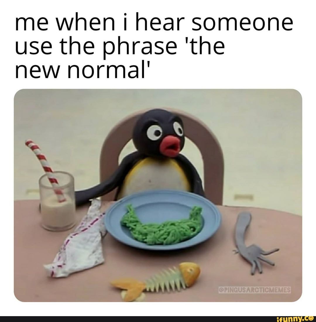 Me when i hear someone use the phrase 'the new normal' - iFunny