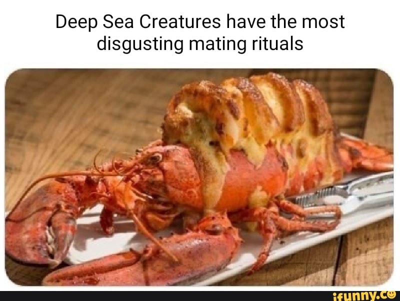 Deep Sea Creatures have the most disgusting mating rituals - iFunny