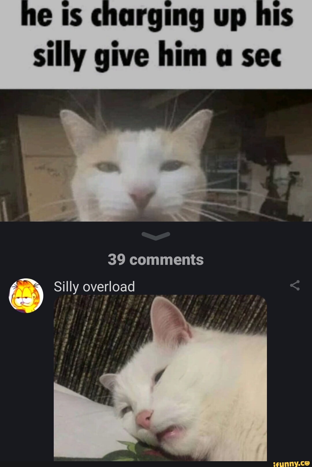 Video memes UiyjguF6B by Master_Yee - iFunny