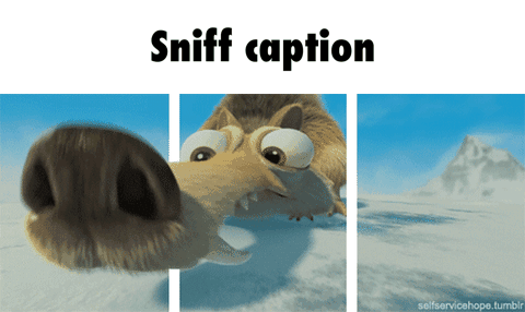Sniff caption - iFunny