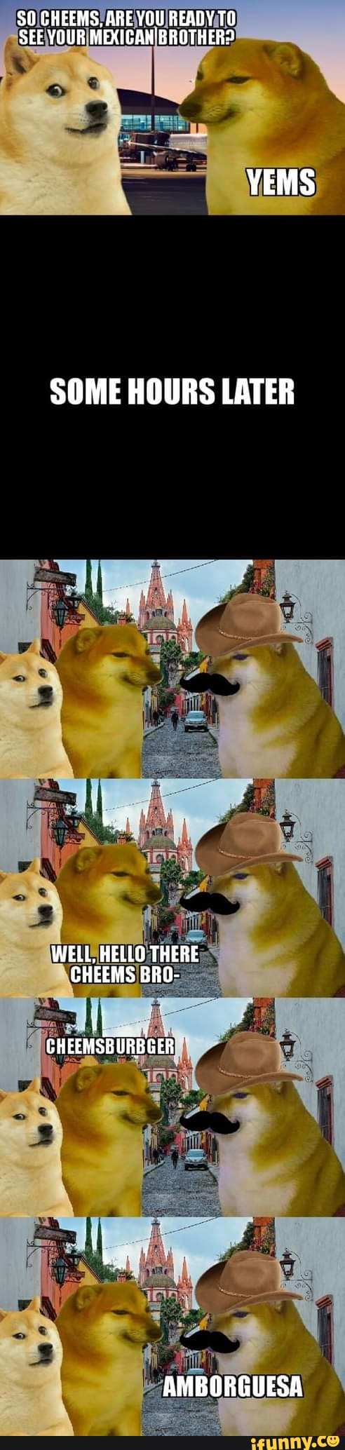 SO CHEEMS, ARE YOU READY SEE YOUR MEXICAN'BROTHER? SOME HOURS LATER ...