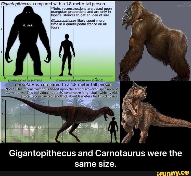 Gigantopithecus memes. Best Collection of funny Gigantopithecus ...