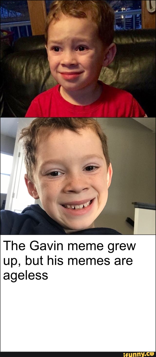 The Gavin meme grew up, but his memes are ageless - iFunny